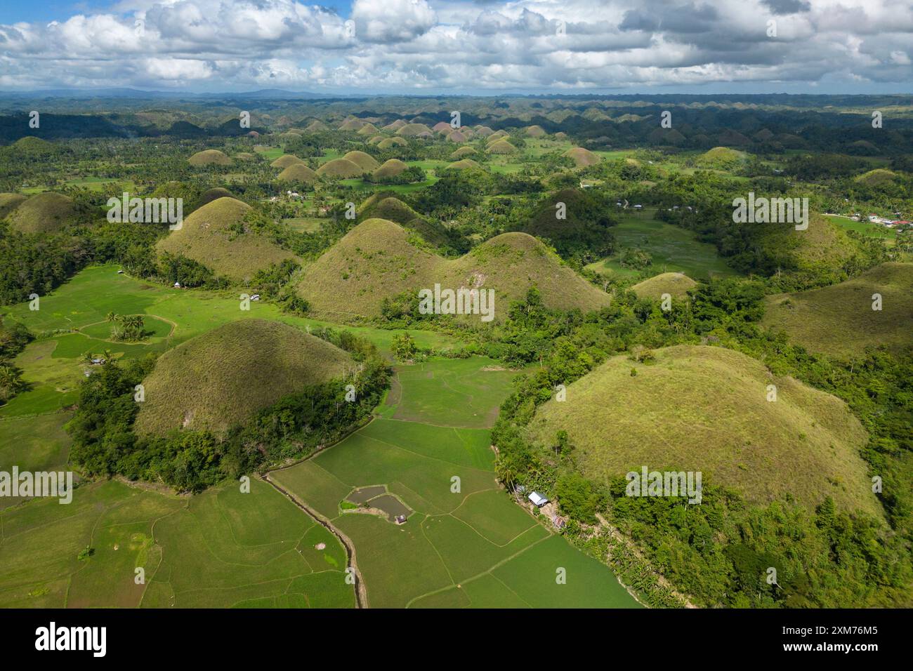 Aerial view of the Chocolate Hills geological formation, near Carmen ...