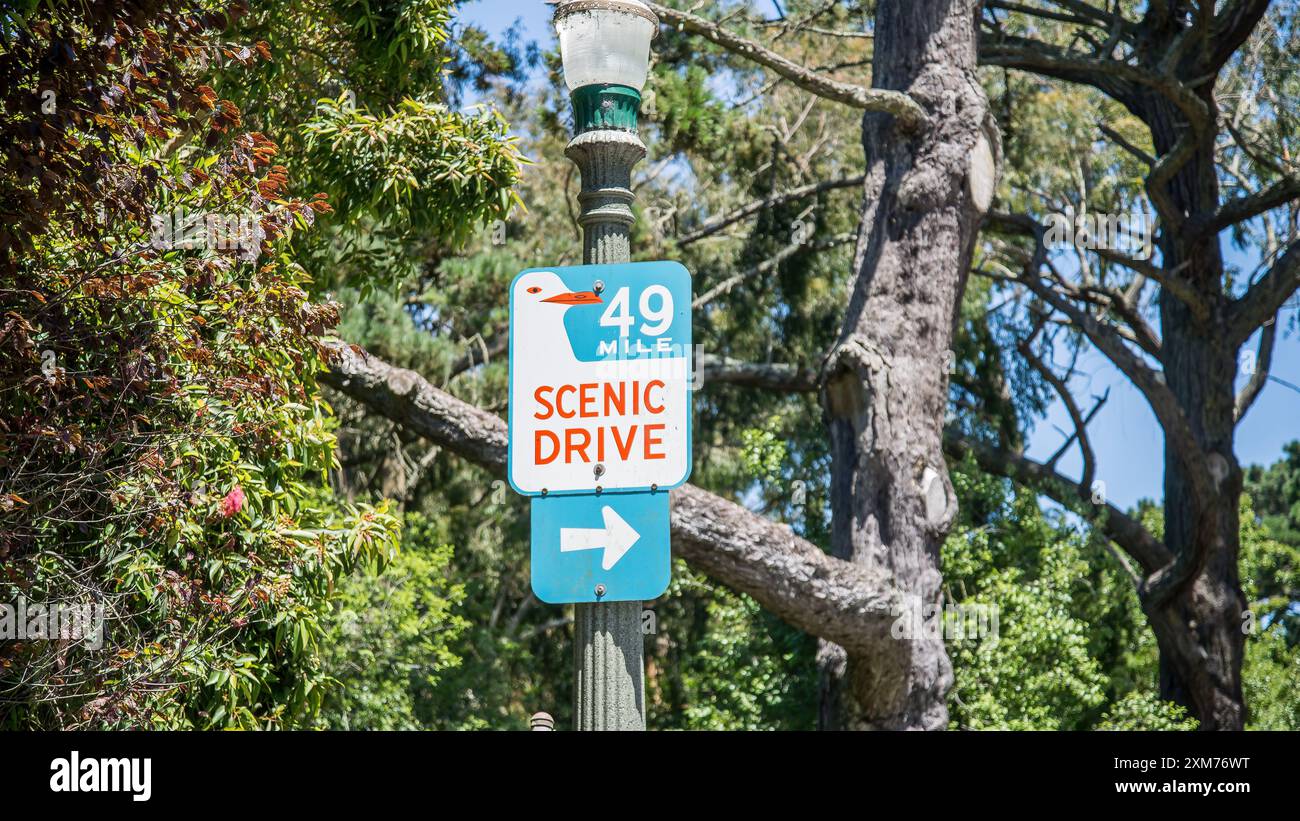 San Francisco sign of scenic drive 49 mile. Road sign for Scenic Drive ...