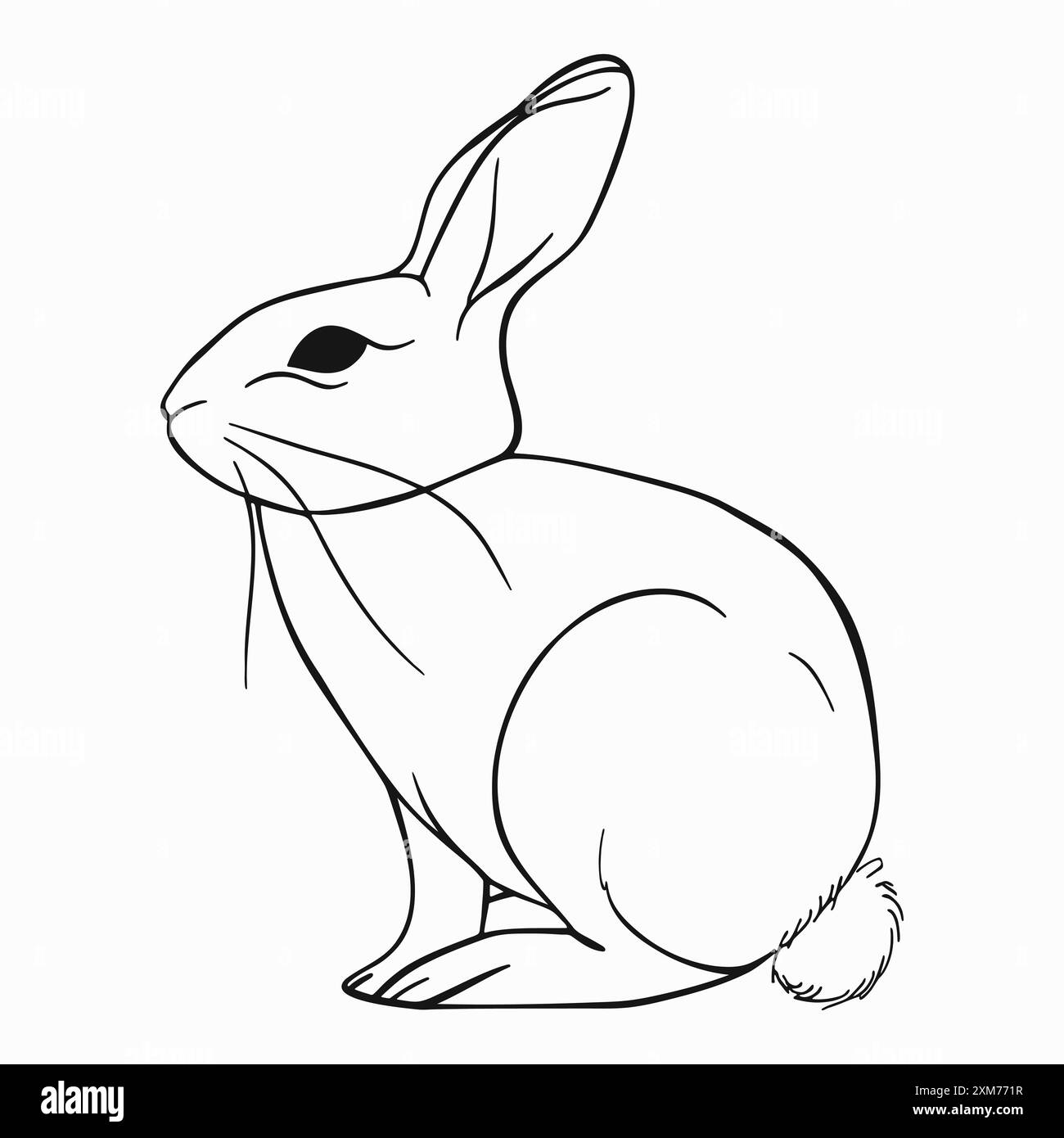Bunny sitting Black and White Stock Photos & Images - Alamy