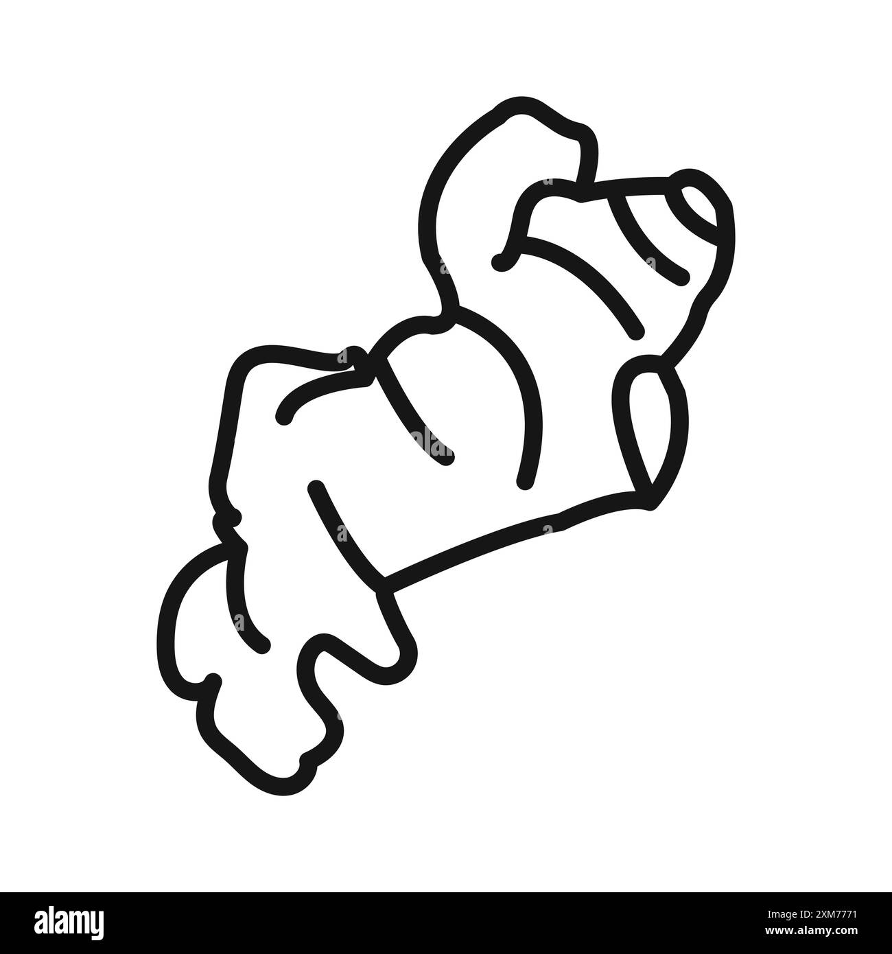 Ginger Icon Black Line Art Vector In Black And White Outline Set