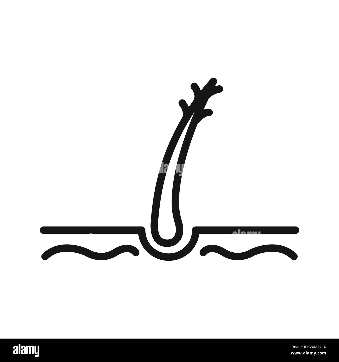 Hair Split Ends icon Black line art vector in black and white outline set collection sign Stock ...