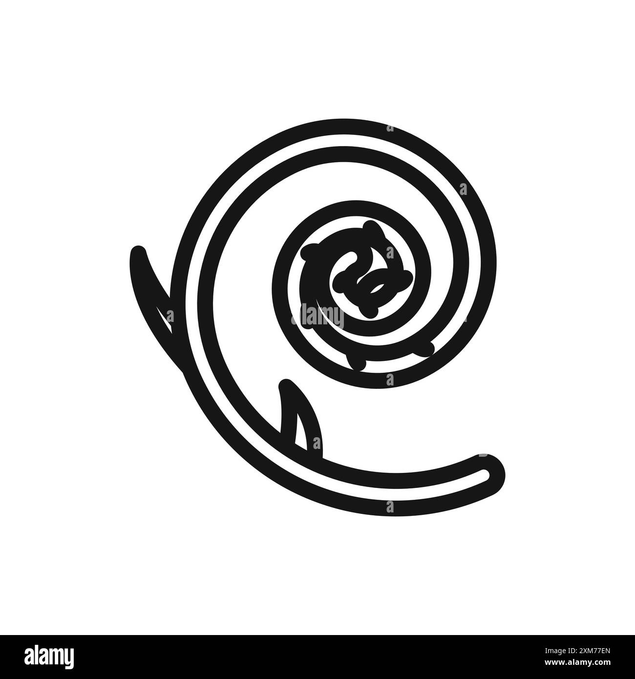 fiddleheads icon Black line art vector in black and white outline set ...