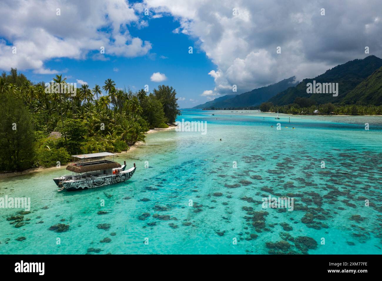Aerial view of a tour boat in the lagoon, Moorea, Windward Islands ...
