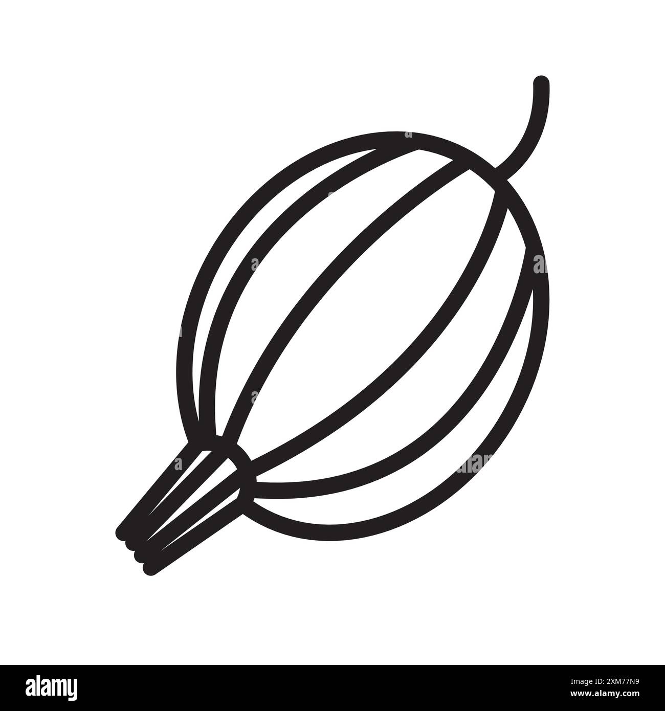 Gooseberry icon Black line art vector in black and white outline set ...