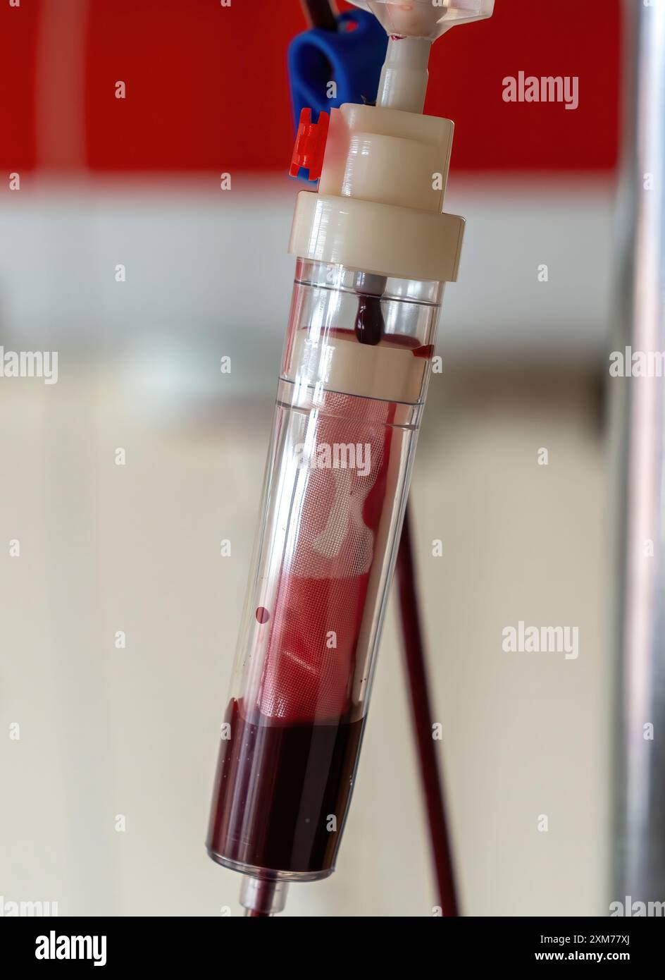 Blood transfusion serum in hospital room with blood drip. Medical ...
