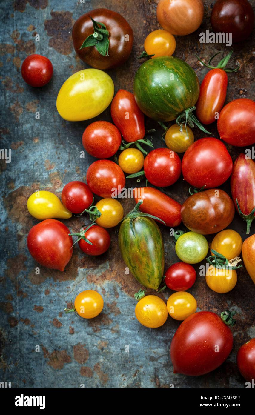 Various tomato varieties hi-res stock photography and images - Alamy