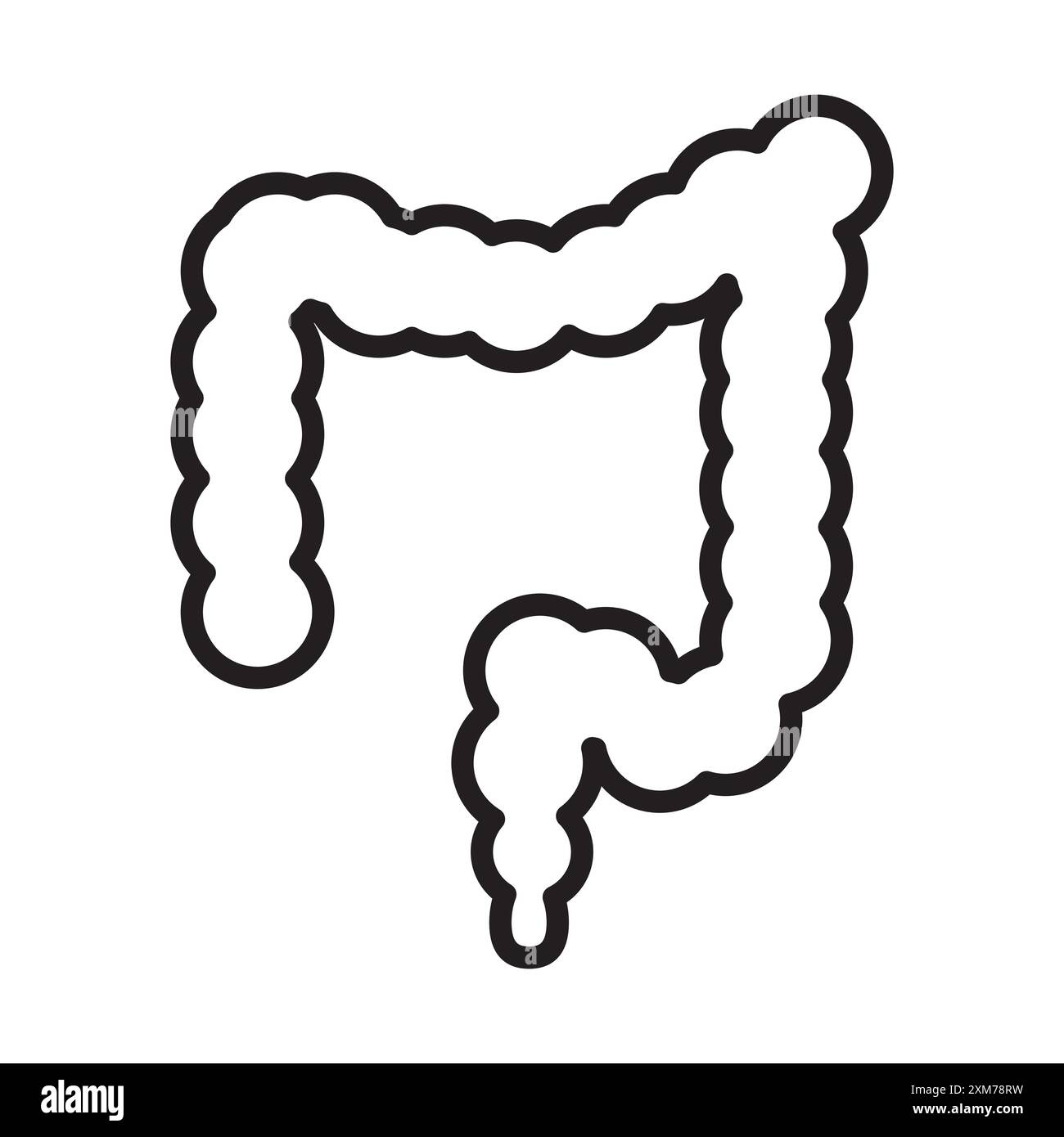 Large intestine icon Black line art vector in black and white outline ...