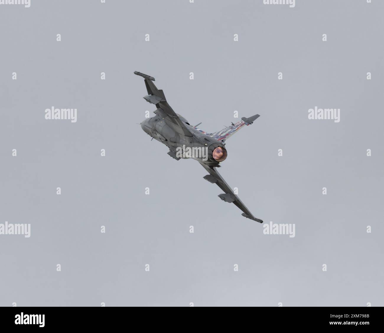 A Czech SAAB JAS 39 Gripen light-weight multi-role fighter jet ...