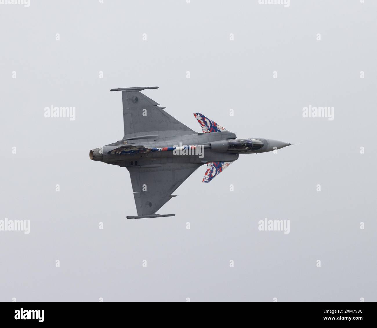 A Czech SAAB JAS 39 Gripen light-weight multi-role fighter jet ...