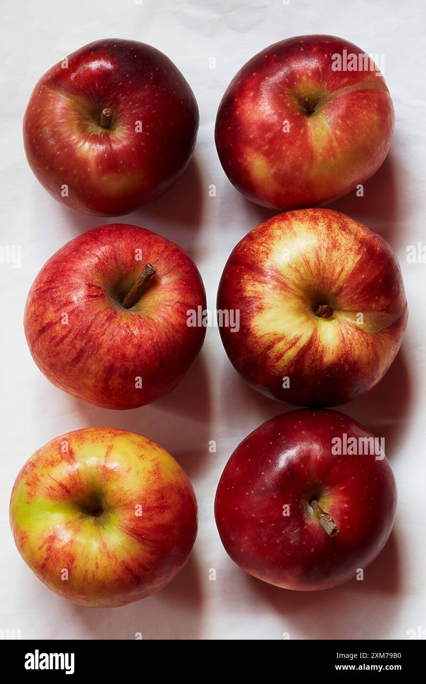 Six fresh apples one apple hi-res stock photography and images - Alamy