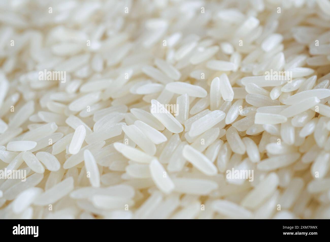 Thailand Jasmine rice grains texture background close up Stock Photo ...