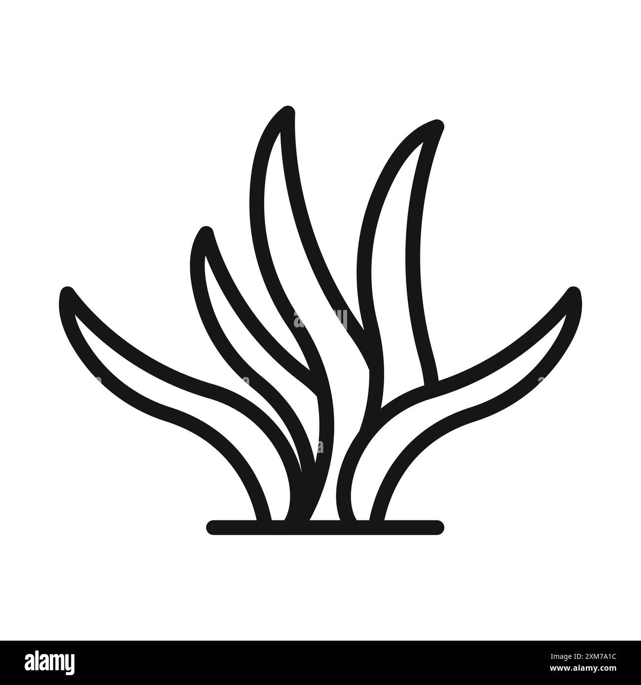 Seaweed icon Black line art vector in black and white outline set ...