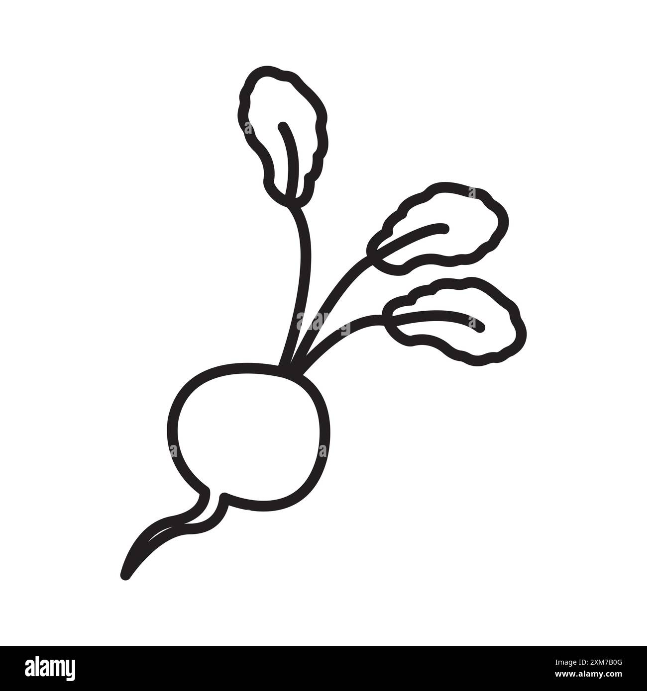 radish icon Black line art vector in black and white outline set ...
