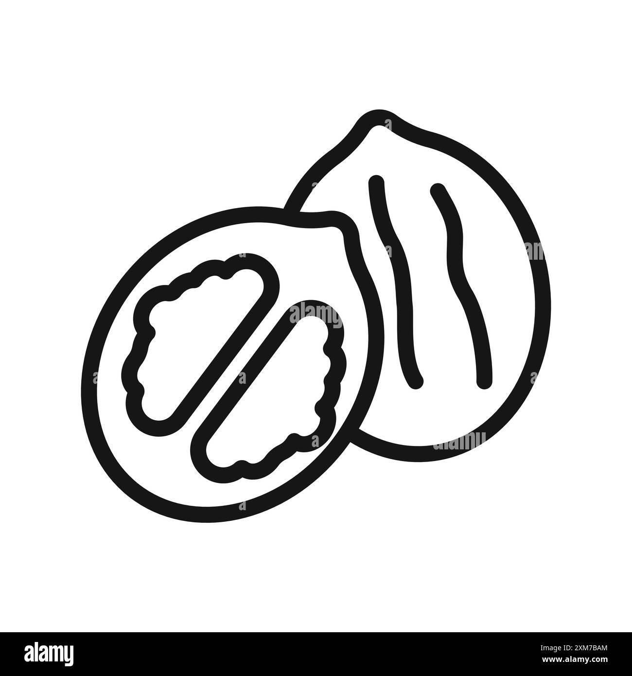 Walnut icon Black line art vector in black and white outline set ...