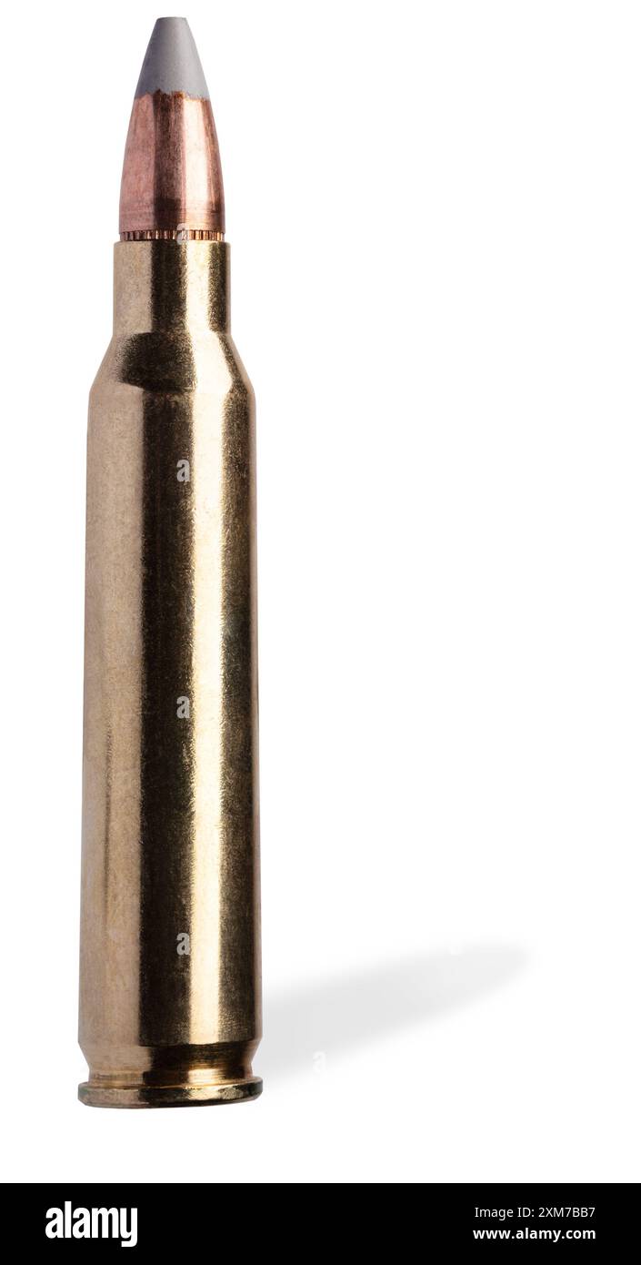 Gray and white polymer tip oin the bullet on a cartridge for an AR-15 ...