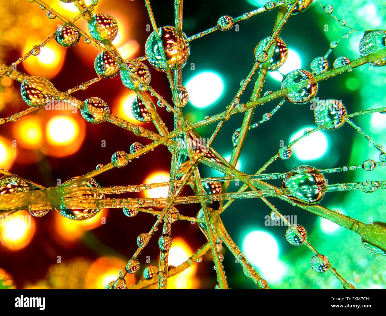Artistic fusion hi-res stock photography and images - Alamy