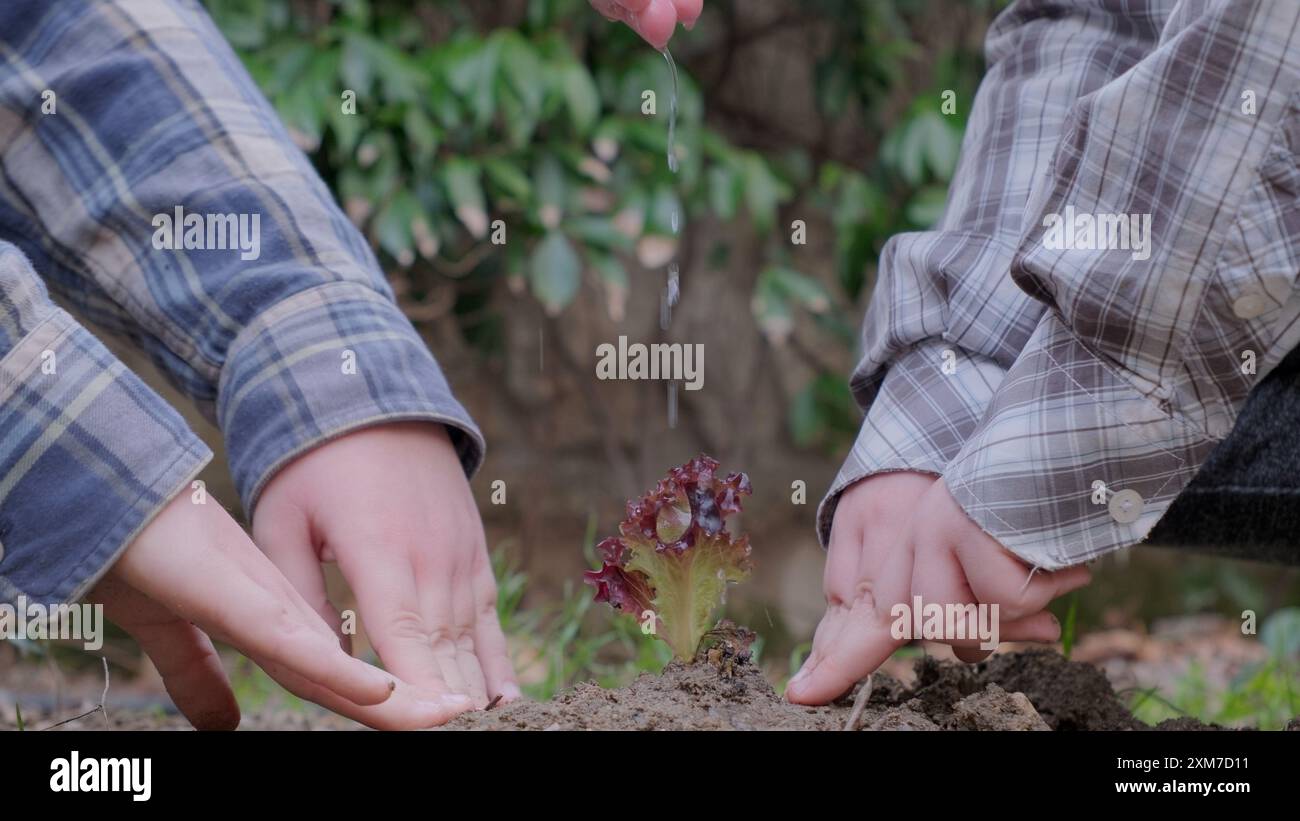 Boy planting a new tree, concept Save the Earth, save the world, save ...