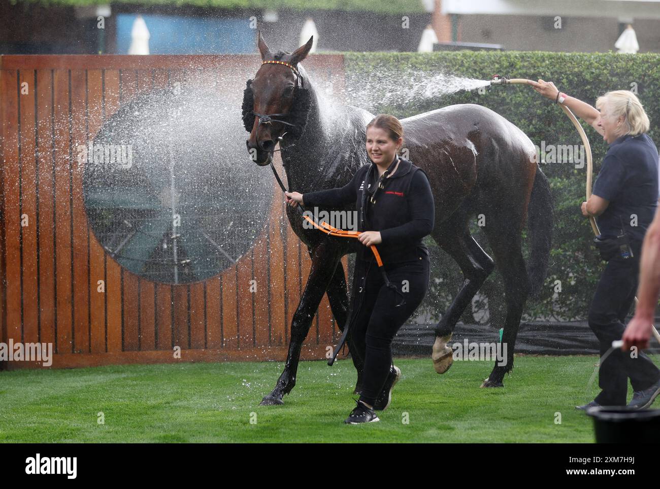 A horse is washed down after the John Guest Racing Brown Jack Handicap ...