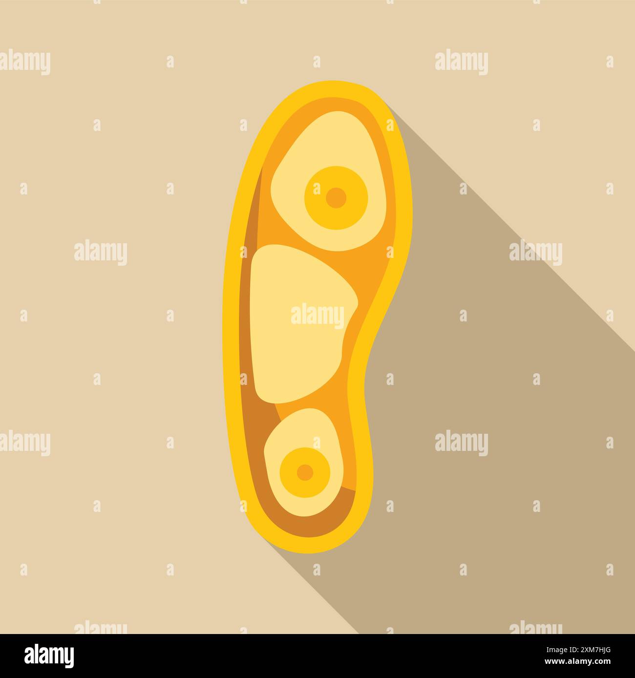 Illustration showing the cell structure of a yellow bacterium with a ...