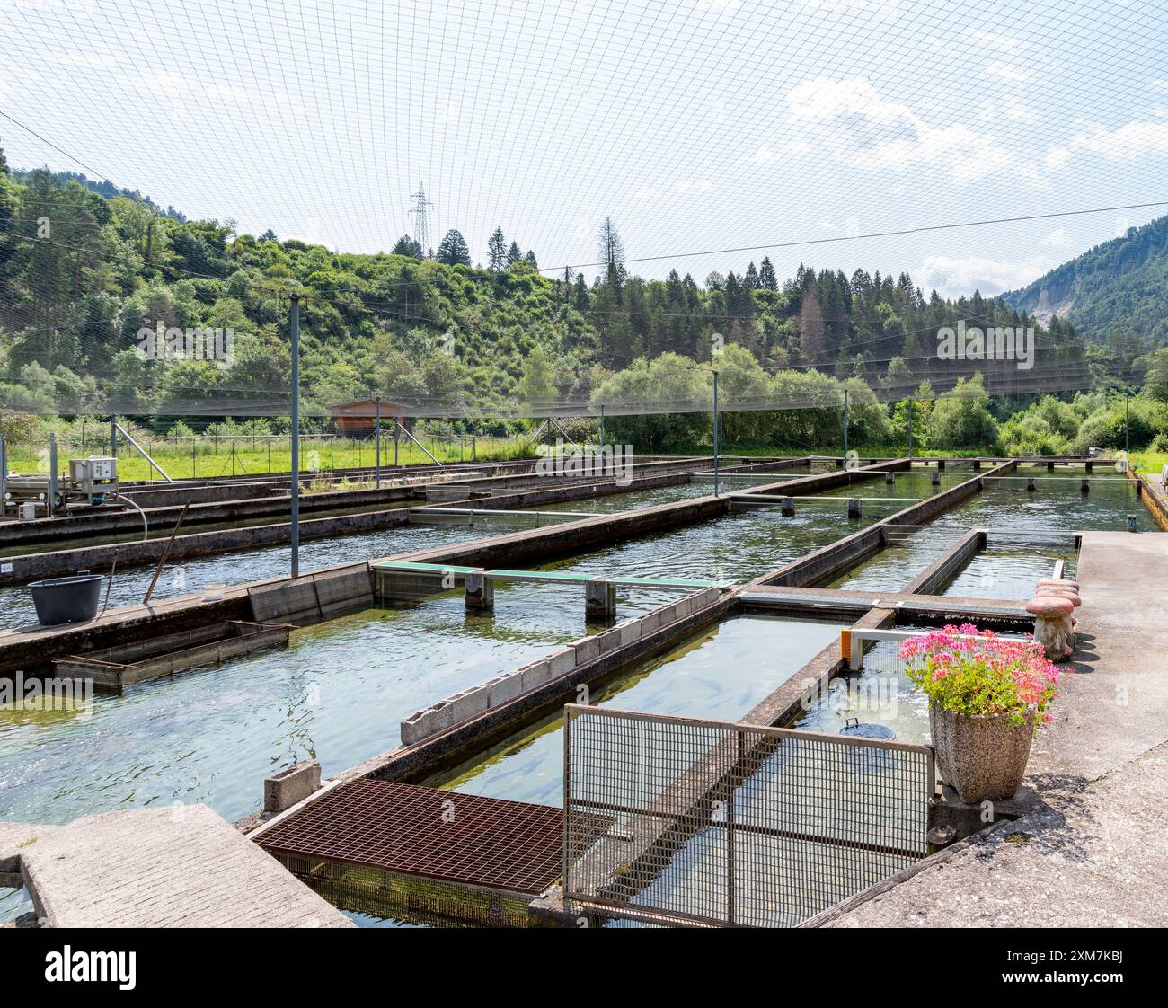 Fish farm tanks hi-res stock photography and images - Alamy
