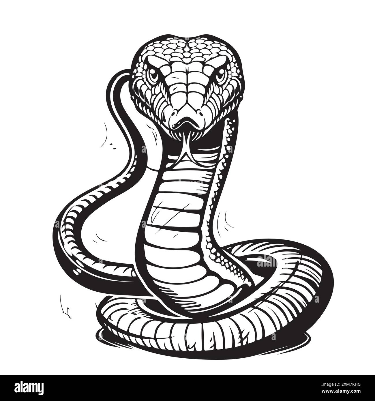 Cobra snake hand drawn illustration. Tattoo vintage print. Hand drawn ...