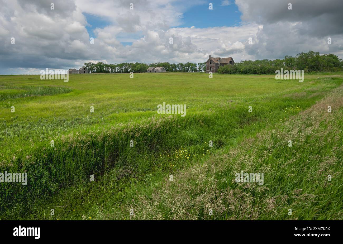 Abandoned house and farm buildings on the prairie near Lajord ...