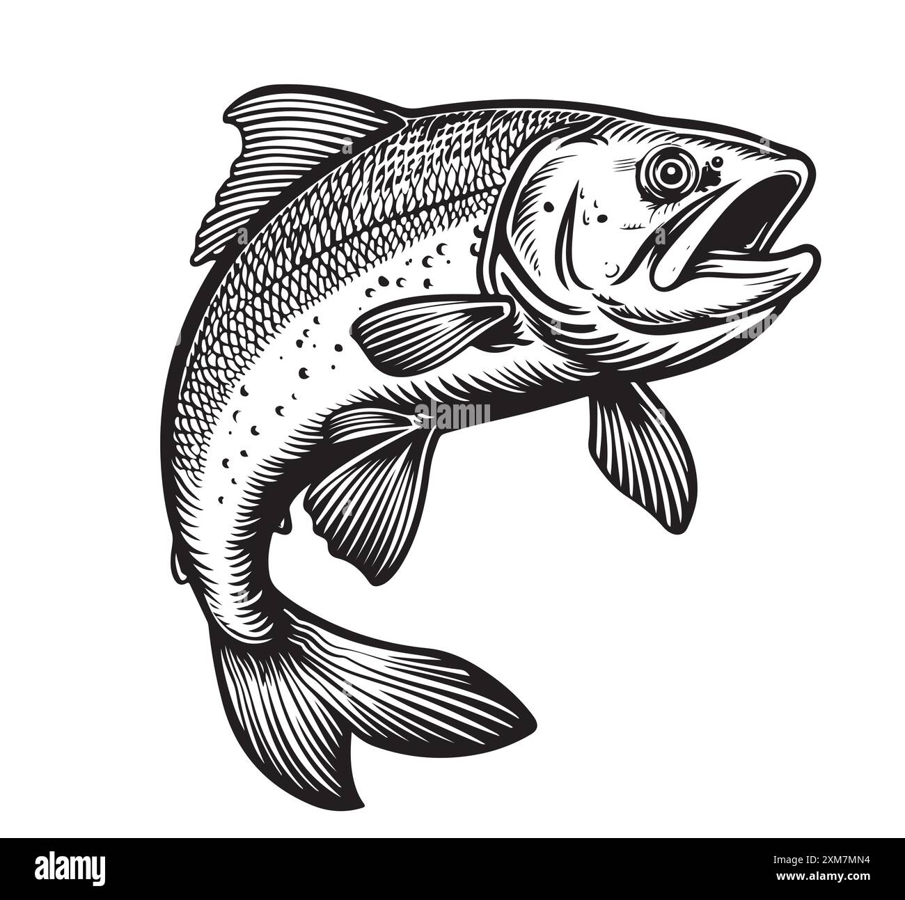 Buck salmon Stock Vector Images - Alamy