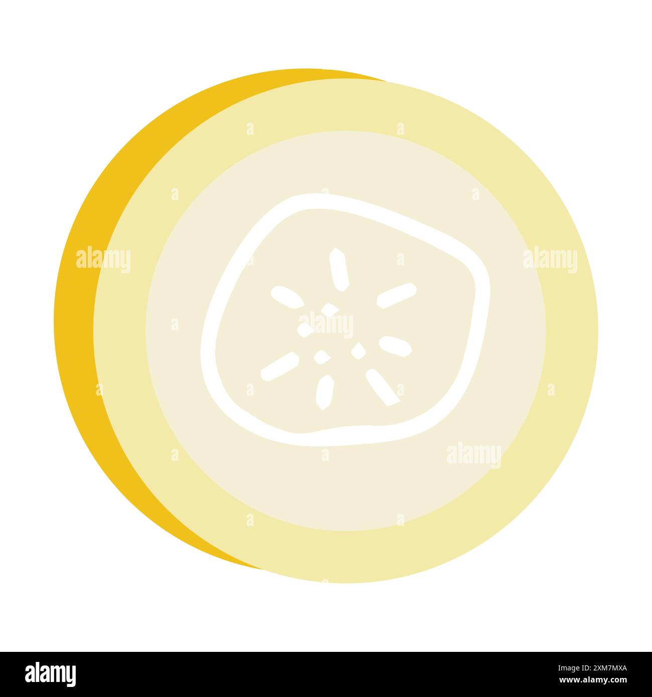 Banana slices illustration of various sizes and angles. Chopped banana ...