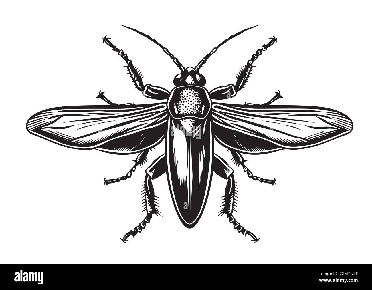 Insect sketch . Horn tail. Hand drawn with ink. Isolated on white ...