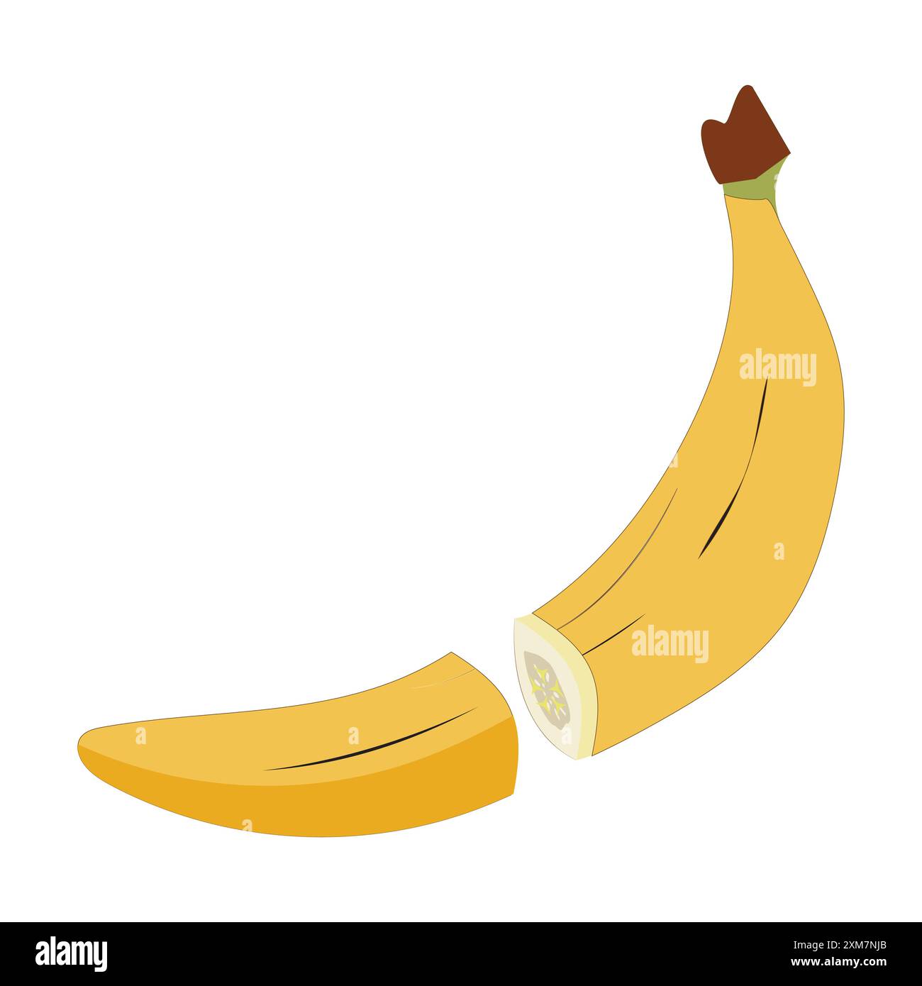 Banana slices illustration of various sizes and angles. Chopped banana ...