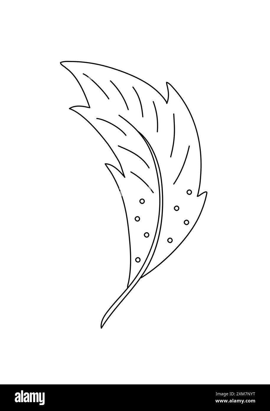 Simple Feather Sketch