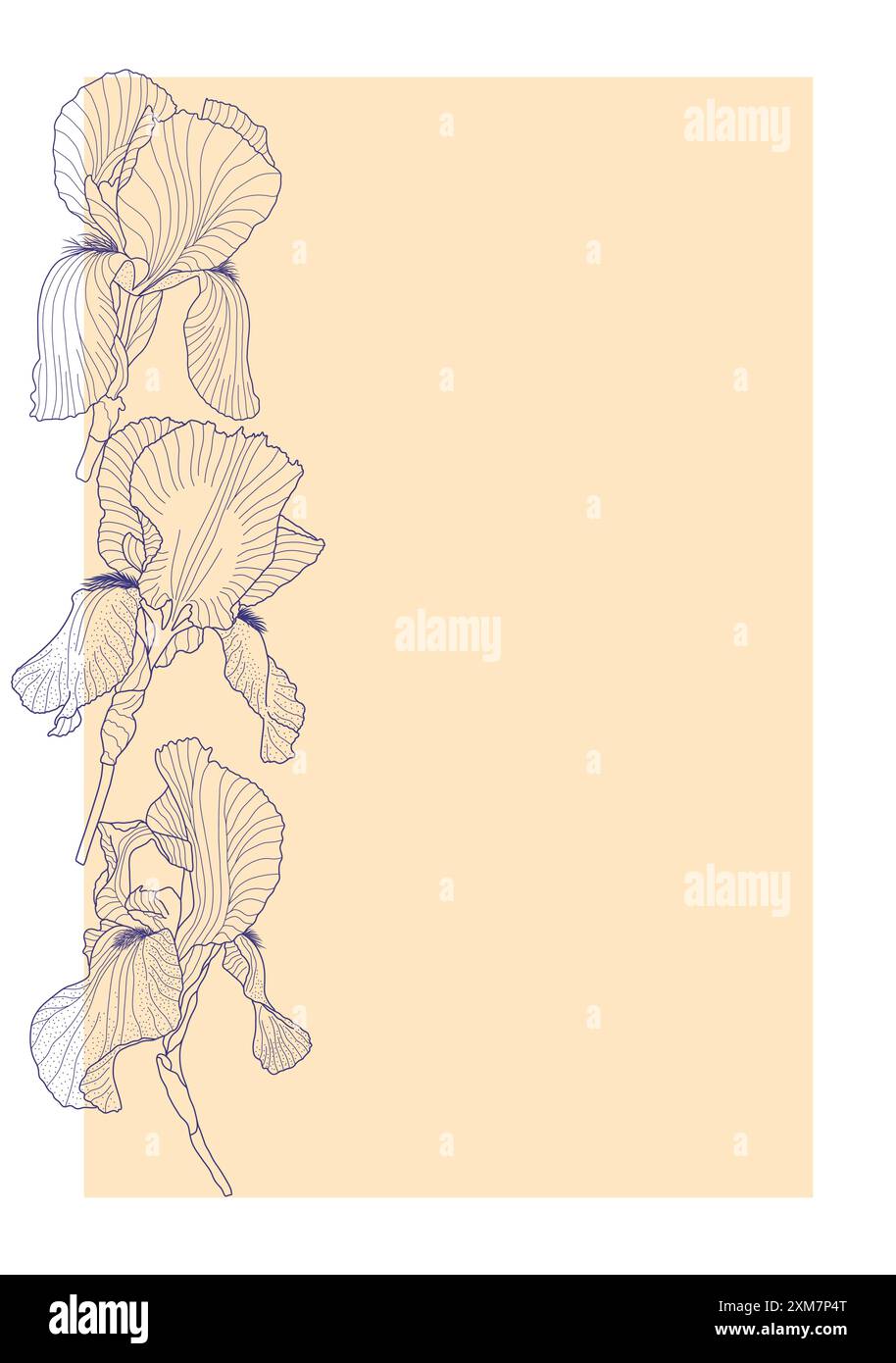 Iris flower, leaves card template outline hand drawn botanical ...