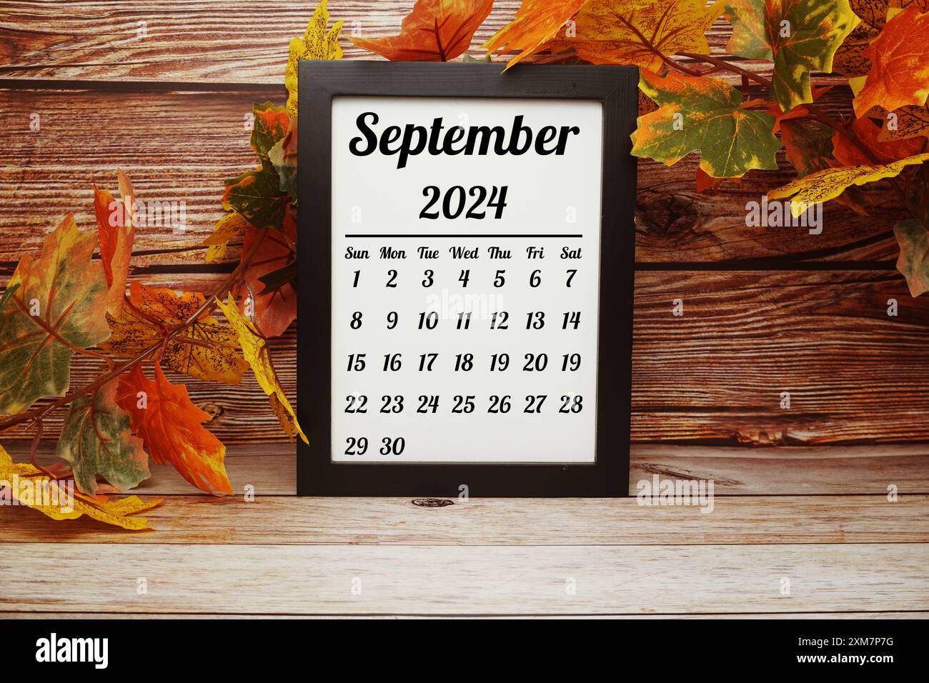 Cute September 2024 Calendar Wallpaper