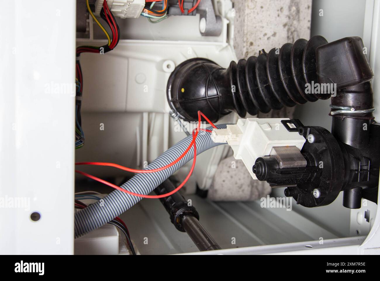 Damage and replacement of the washing machine drain pump Stock Photo ...