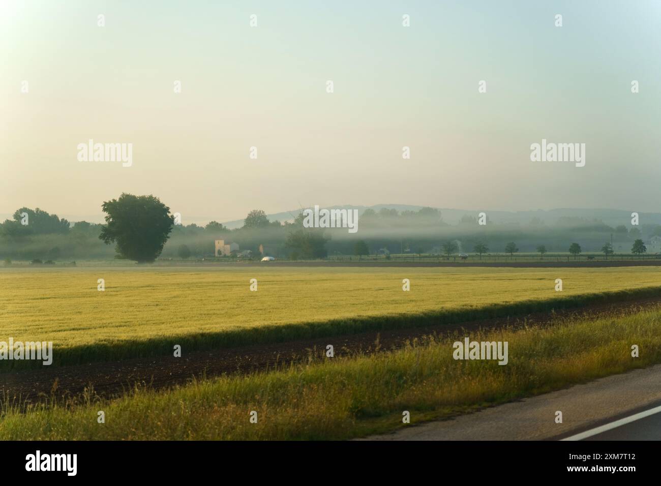 A field of green grass stretches out before a hazy morning sky, with ...