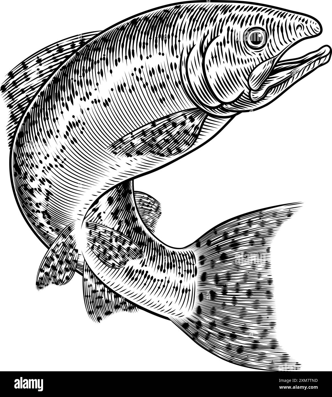 Salmon Fish Vintage Etched Woodcut Fishing Concept Stock Vector Image ...