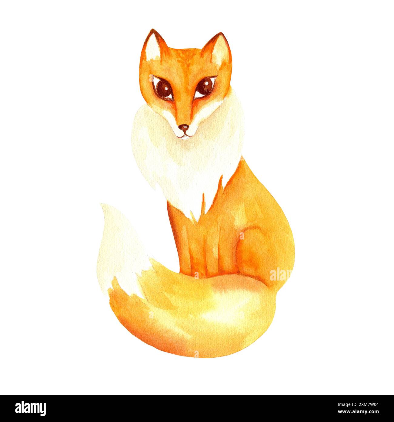 Realistic fox hi-res stock photography and images - Alamy