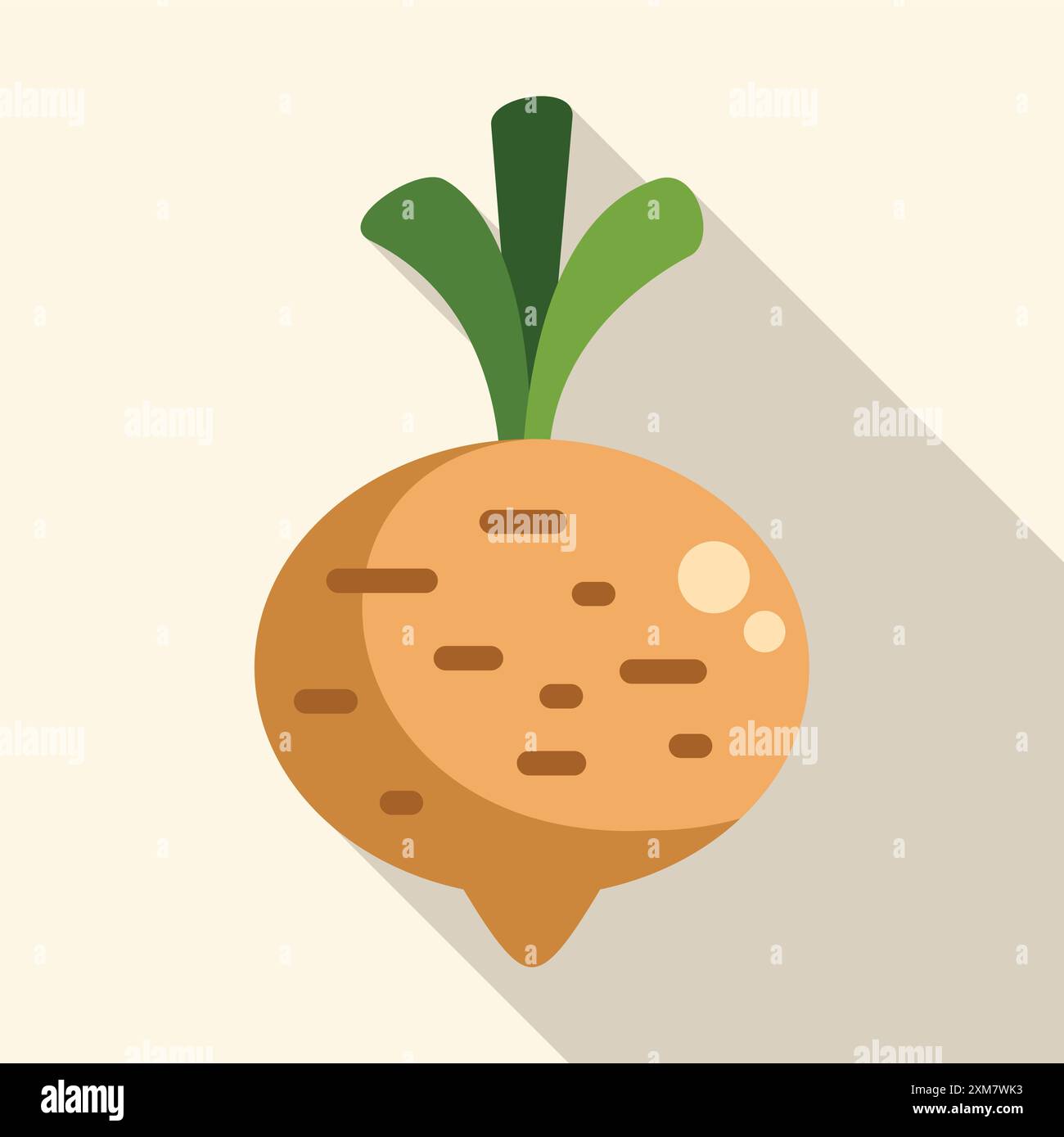 Jicama Stock Vector Images - Alamy