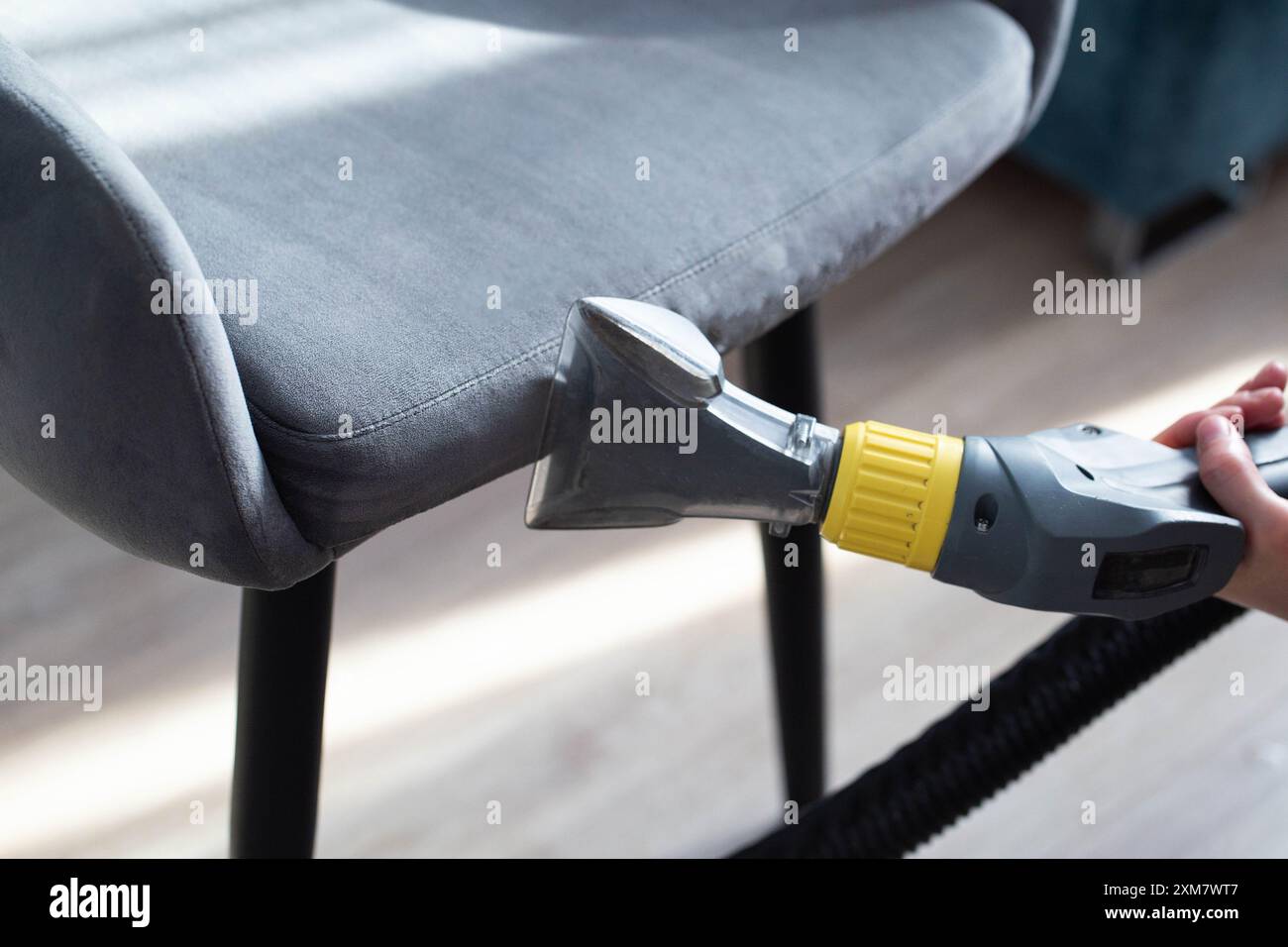 Services for washing and cleaning upholstered furniture with a vacuum ...