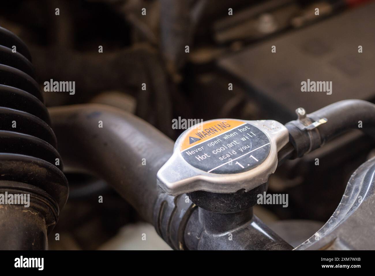 car coolant system close up Stock Photo - Alamy