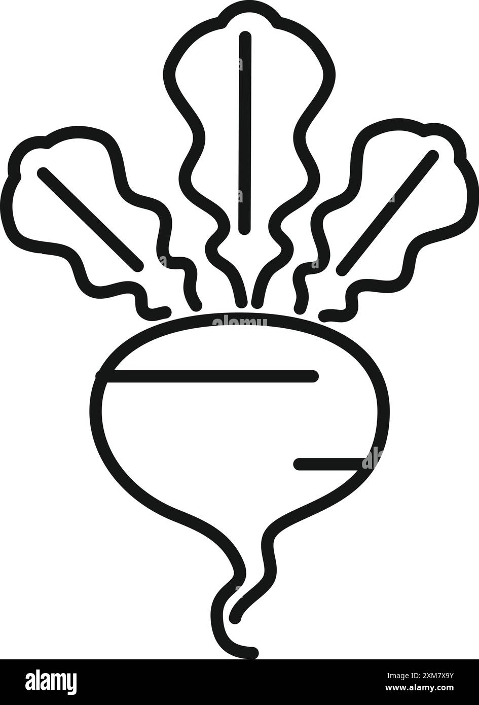 Simple black and white line drawing of a radish, pulled from the ground ...