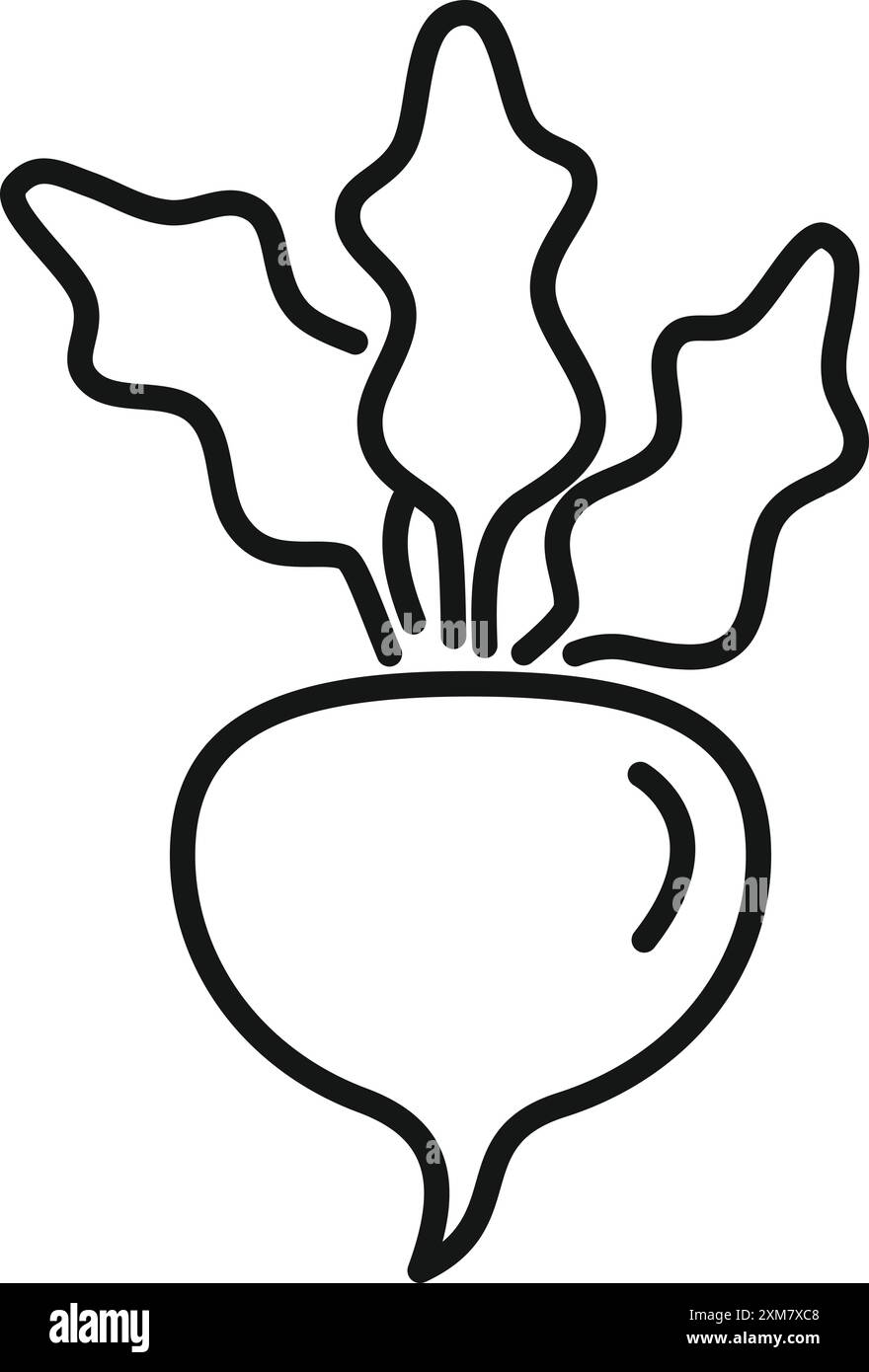 Simple and bold line art illustration of a beetroot, perfect for ...