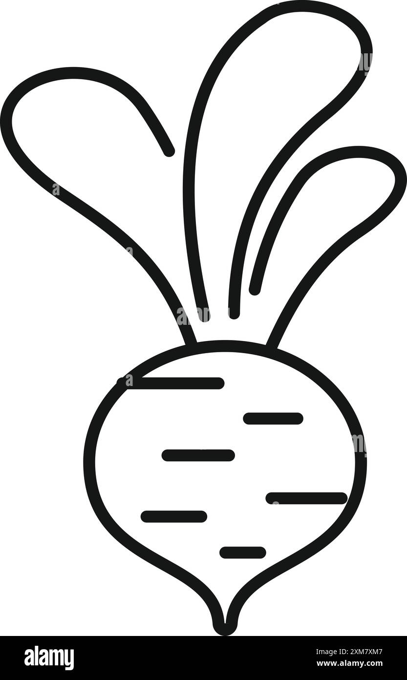 Simple line art illustration of a beetroot growing, with its leaves ...