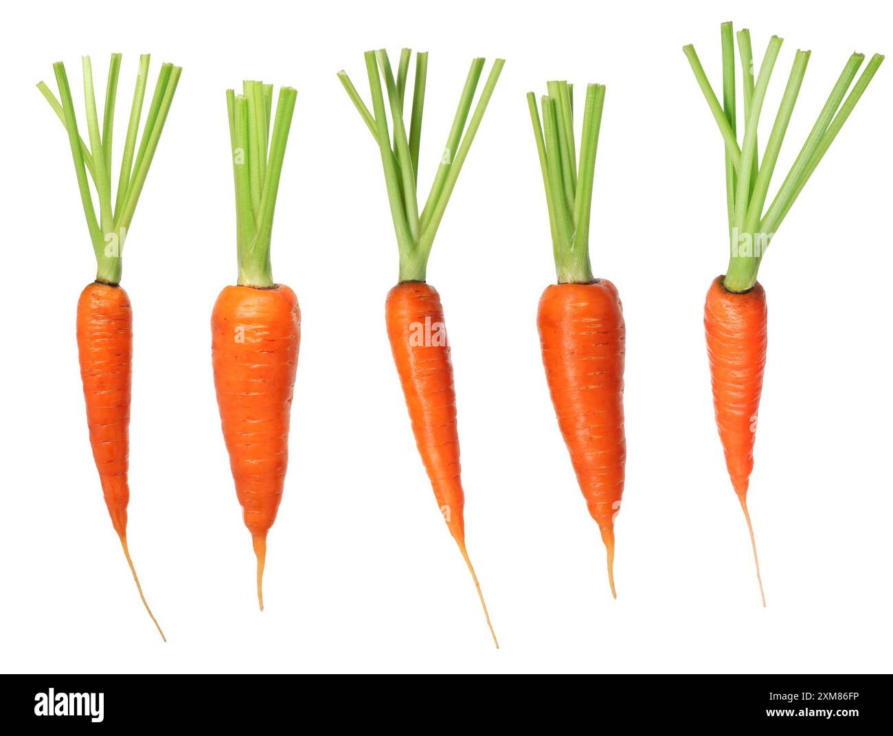 Many fresh ripe carrots isolated on white, set Stock Photo - Alamy