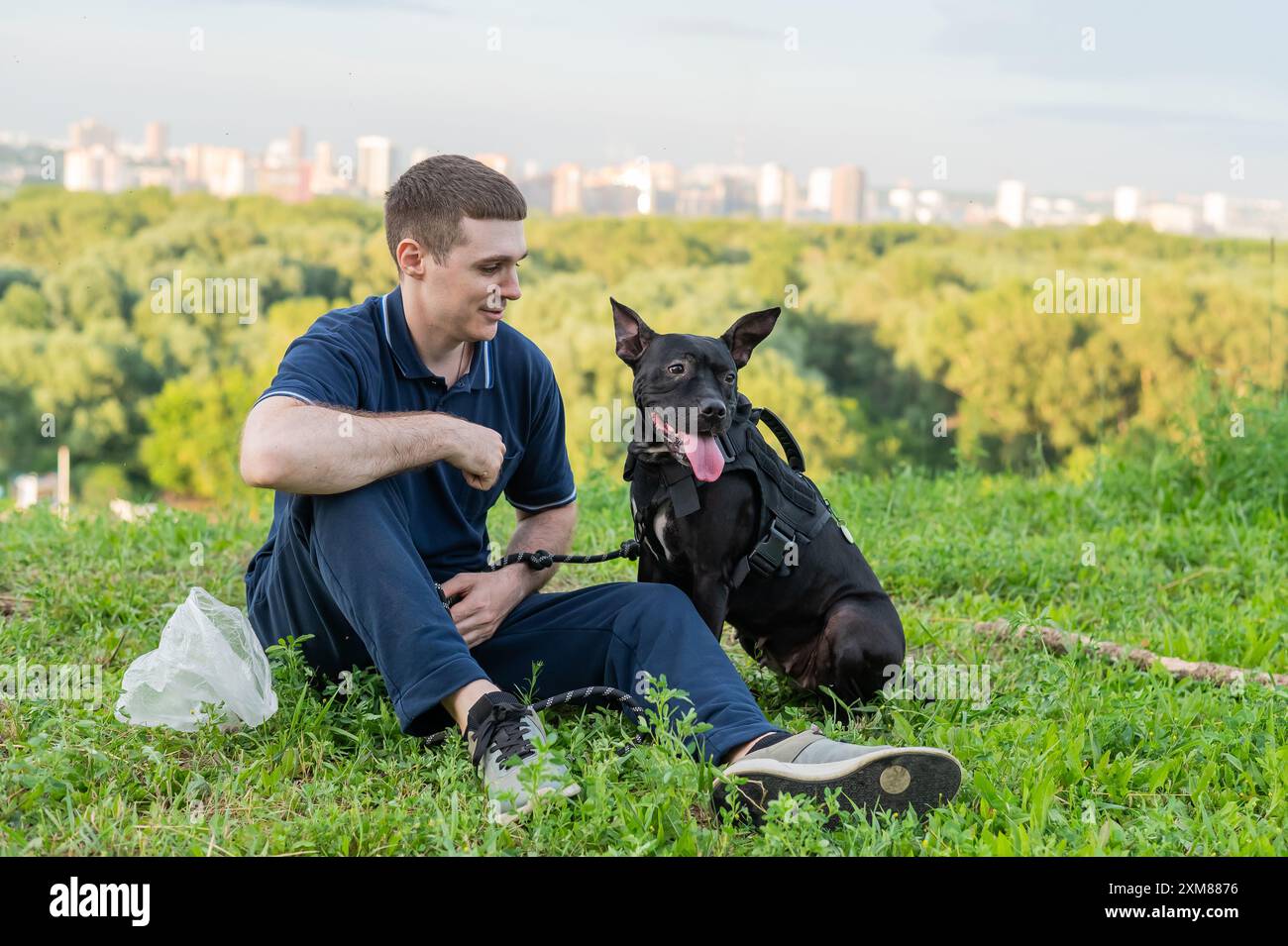 Man walking his pit bull hi-res stock photography and images - Alamy