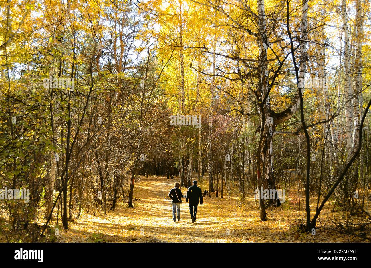 Man woman hiking along forest hi-res stock photography and images - Alamy