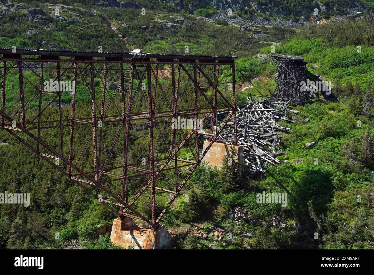 An abandoned, broken down bridge of the White Pass and Yukon Route ...