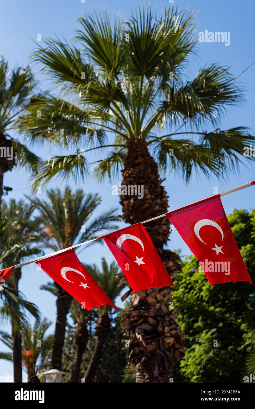 Turkish flag in a sunny day with palm trees and blue sky on the ...