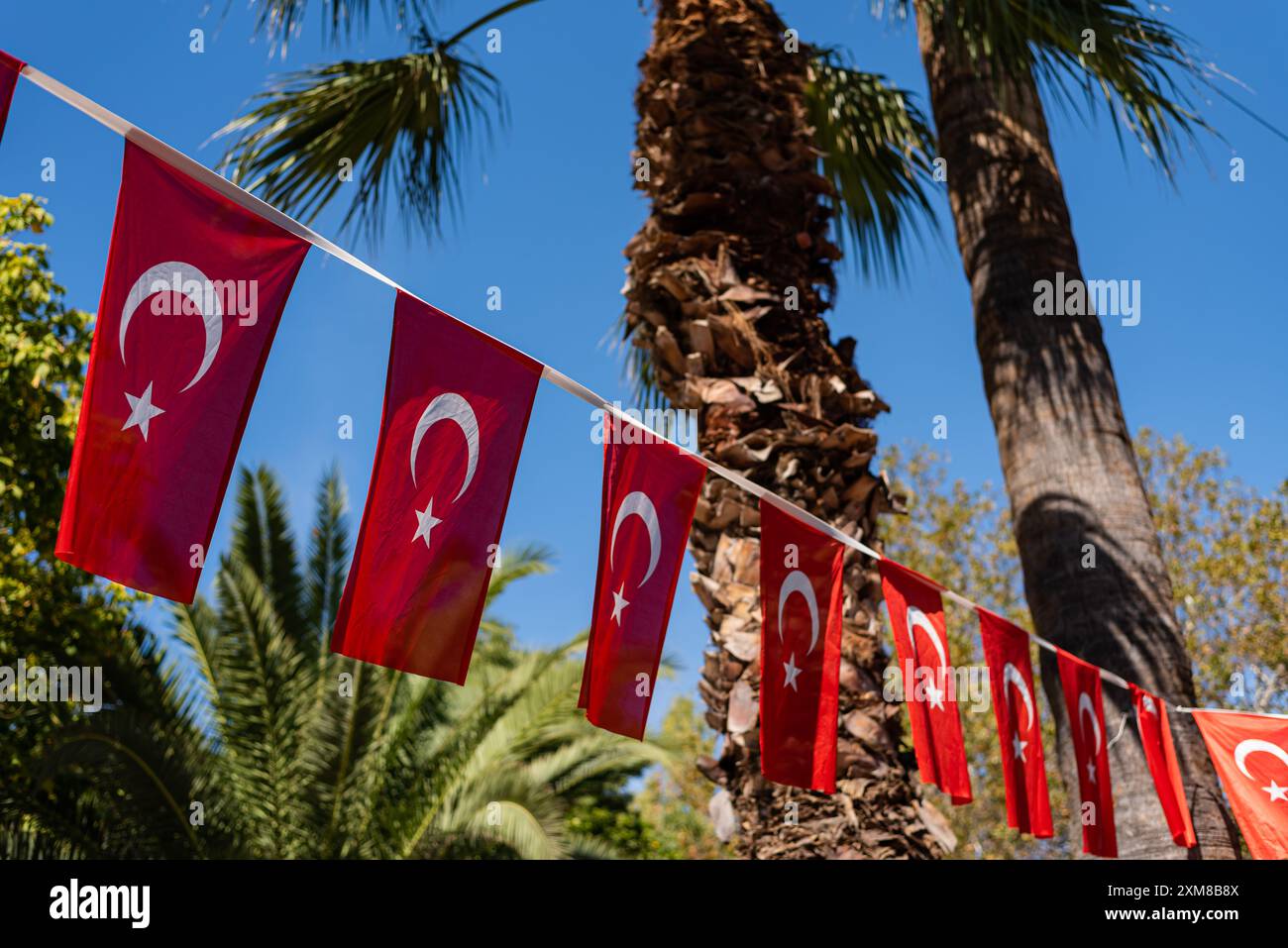 Turkish flag in a sunny day with palm trees and blue sky on the ...