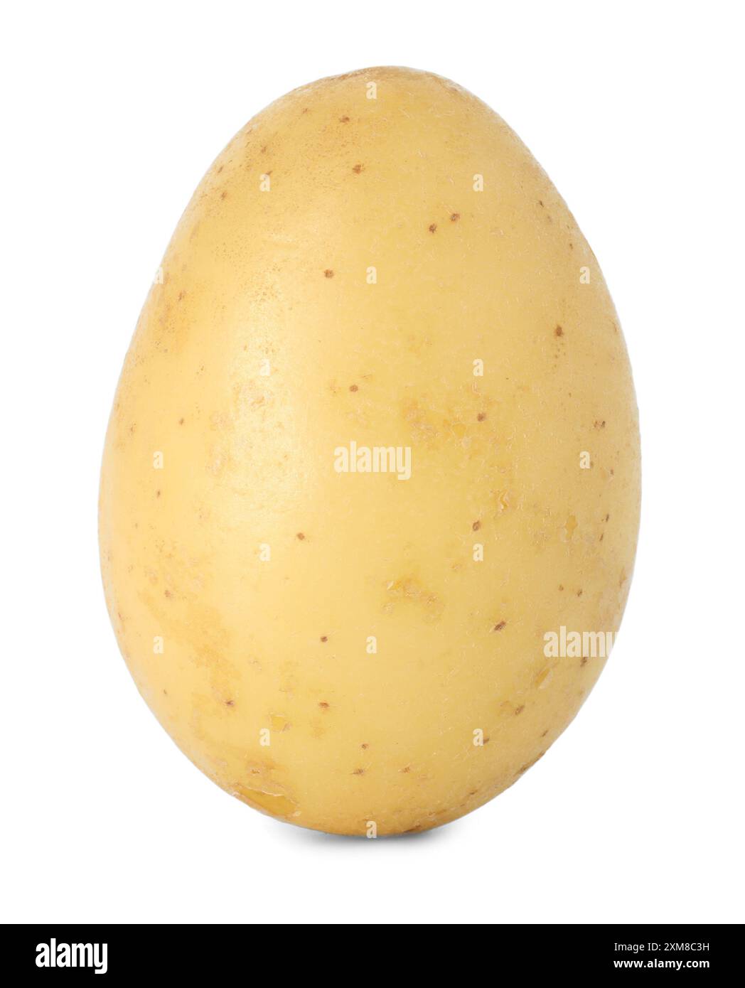 One young fresh potato isolated on white Stock Photo - Alamy